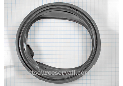 General Electric WH08X10036 GASKET WH08X10036 | PartsKing.com